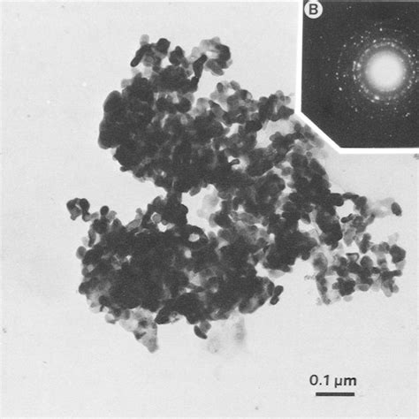 Transmission Electron Micrograph A And Selected Area Electron Download Scientific Diagram