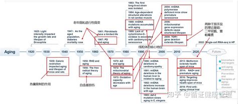衰老研究从总结现象进展到发现规律寻找解决方案 知乎