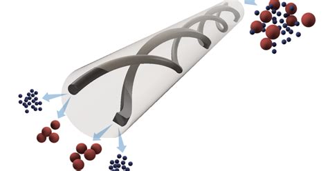 New Rapid Prototyping Method For Microscale Spiral Devices Okinawa Institute Of Science And