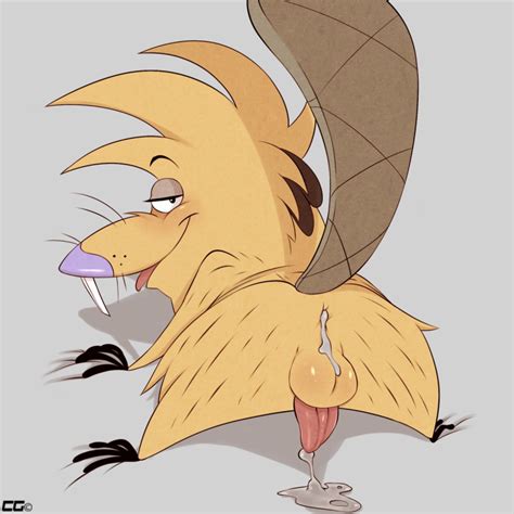 Rule 34 After Sex Angry Beavers Anus Ass Balls Beaver Crazedg Cum Cum