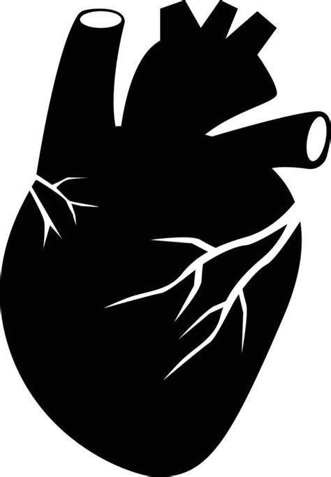 Heart Human Organ Icon On White Background Heart Organ Sign