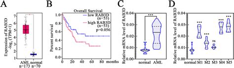 Rab3d Was Upregulated In Aml Specimens A The Expression Level Of Rab3d Download Scientific