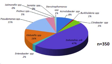 Gender Wise Distribution Of Isolates Download Scientific Diagram