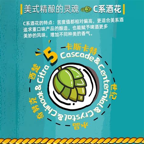 迷失海岸美国进口精酿花生酱巧克力牛奶世涛双倍快艇浑浊IPA小麦啤酒 6瓶八爪鱼浑浊IPA 虎窝购
