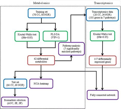 宫颈癌的代谢组学和转录组学联合分析 杭州汉库医学检验所有限公司