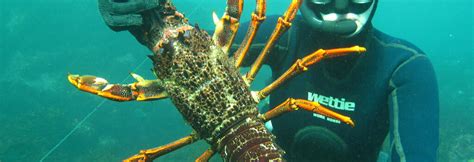 New Zealands Must Eat Seafood 100 Pure New Zealand