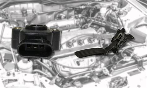 Throttle Pedal Position Sensor Switch D Circuit Low