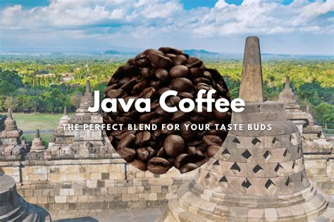 Java Coffee The Perfect Blend For Your Taste Buds Helena Coffee Vietnam