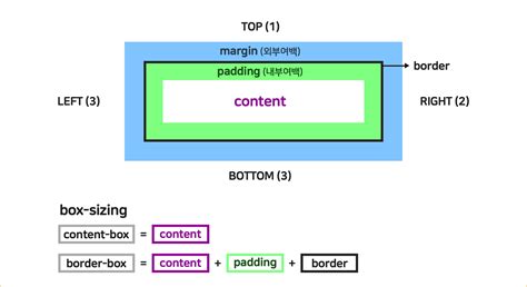 Css Box Model 귤양의 개발자국