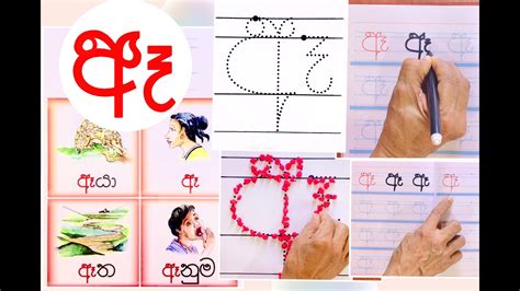 1 ශ්‍රේණිය මව්බස ඈ අකුර හැදින්වීම හා ලිවීම සුජීවා ප්‍රියන්ති ගුරුතුමිය Youtube