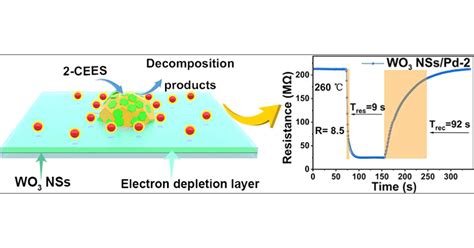 Ultrathin Wo3 Nanosheetspd With Strong Metalsupport Interactions For Highly Sensitive And
