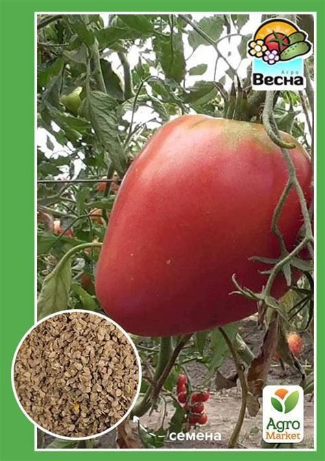Томат Гібрид Тарасенко 2 рожевий ТМ Весна 0 1г купити поштою в Одесі Києві Україні Agro