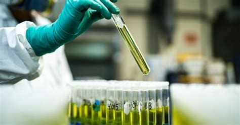 Compositional Analysis Sgs Usa