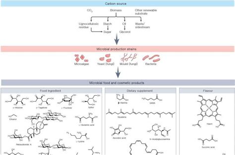 Microbial Cell Factories