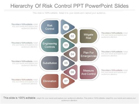 Hierarchy Of Risk Control Ppt Powerpoint Slides