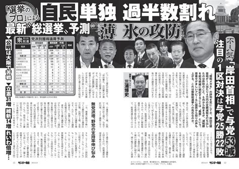 〔総選挙〕「選挙のプロ」による最新“総選挙”予測 自民、単独過半数割れ 薄氷の攻防 サンデー毎日 Dマガジン