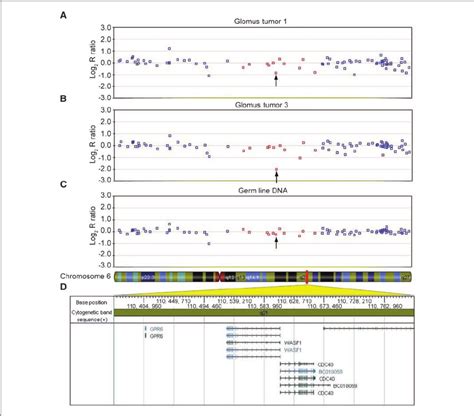 Comparison Of Log 2 R Ratio Of SNP Rs4945851 WASF1 And Nearby SNP Download Scientific