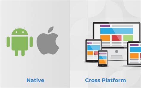 Cross Platform Mobile Development React Native Or Flutter Intexsoft