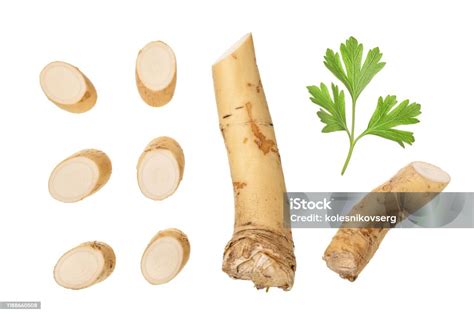 흰색 배경에 고립 된 슬라이스와 파슬리와 고추 냉이 뿌리 맨 위 보기 플랫 레이 0명에 대한 스톡 사진 및 기타 이미지 0명 강판에 갈기 겨자무 Istock