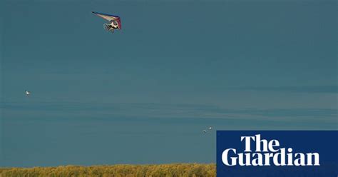 Vladimir Putin Flies With Cranes In Pictures World News The Guardian
