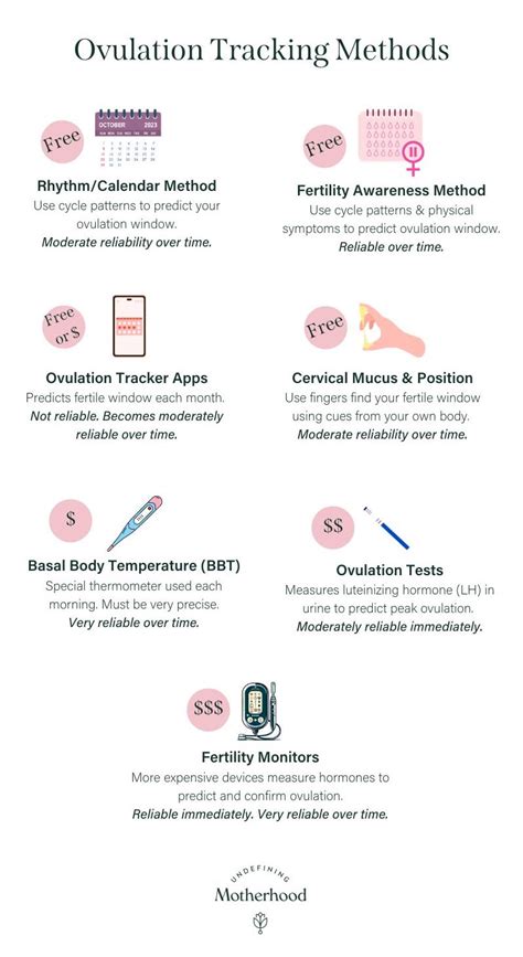 How To Track Ovulation Expert Guide To Tracking Methods