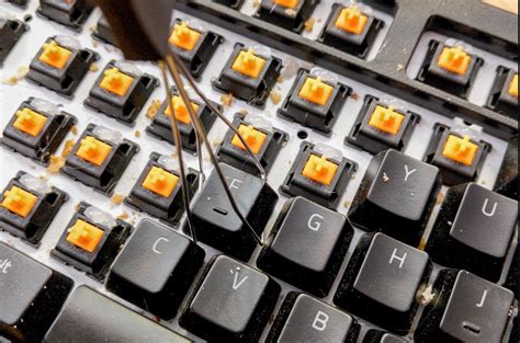 How To Clean A Wireless Keyboard Robots Net
