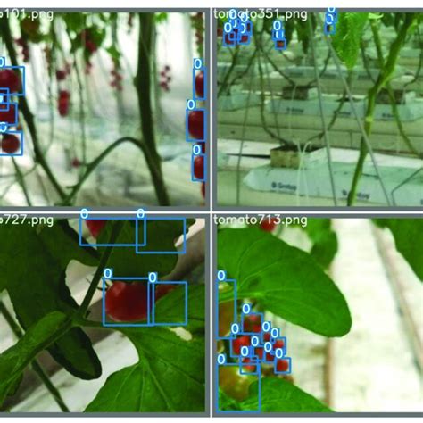 Detection Results Of Yolov5s And Rsi Yolo In The Mar20 Dataset