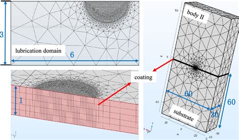 Mesh Configuration Of The Ehl Model Download Scientific Diagram