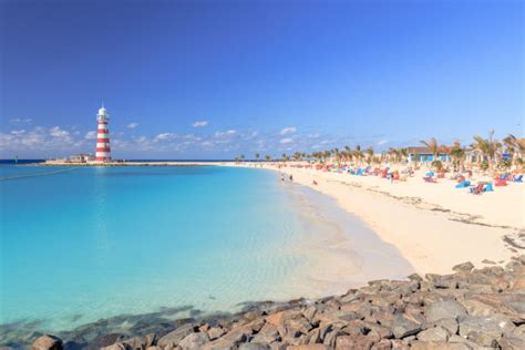 24 Things To Know About Ocean Cay Msc Marine Reserve