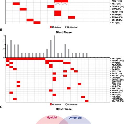 Mutational Profile Of Accelerated Phase Ap Cml And Blast Phase Download Scientific Diagram