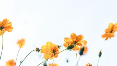 Sexpectations Sex Is Unnecessary Time Of Grace