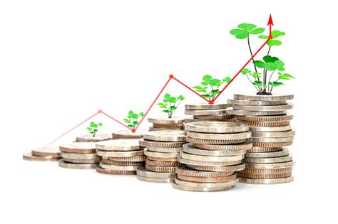 동전 더미와 흰색 배경에 분리된 지표 차트가 있는 나무 행운의 금융 사업 성장 개념 0명에 대한 스톡 사진 및 기타 이미지