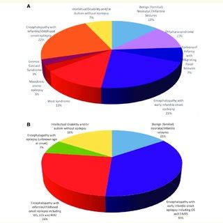 A Case Of Epilepsy Of Infancy With Migrating Focal Seizures Caused By Mosaic SCN2A Mutation