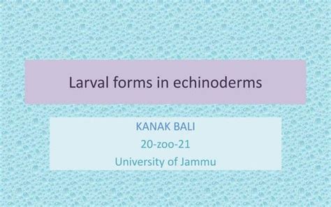 Larval Forms Of Echinoderms Pdf Biological Sciences Science Larval Forms Of Echinoderms Pdf Biological Sciences Science