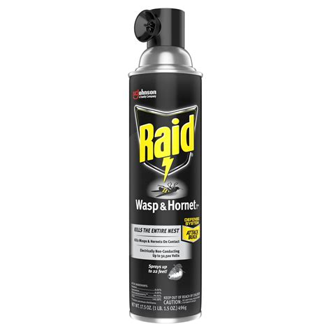 Raid Wasp And Hornet Killer Spray 14 Oz Pack 3