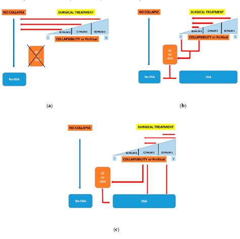 Figure 1 From Qualitative Phenotyping Of Obstructive Sleep Apnea And