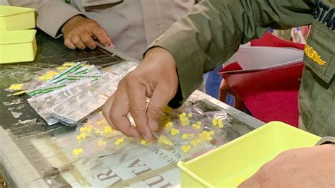 Sejumlah Pelanggar Disidang Tipiring Satpol Pp Ajak Masyarakat Proaktif Jaga Ketertiban