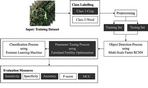 Figure From Computer Vision And Deep Learning Enabled Weed Detection Model For Precision