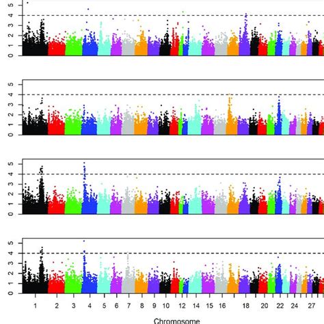Cross Population Extended Haplotype Homozygosity Xpehh Plot For Four Download Scientific