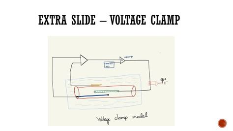 Presentationhodgkin Huxley Model Pptx