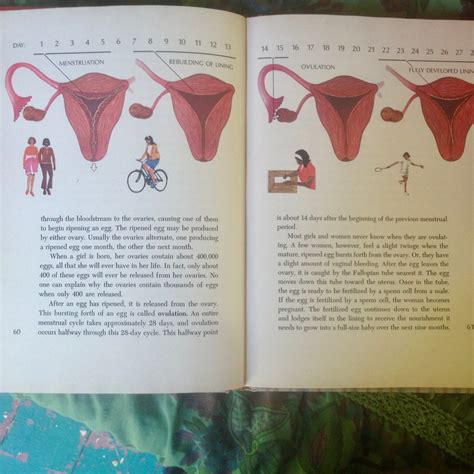 Life Cycle Library For Babe People Volumes Sex Education Etsy