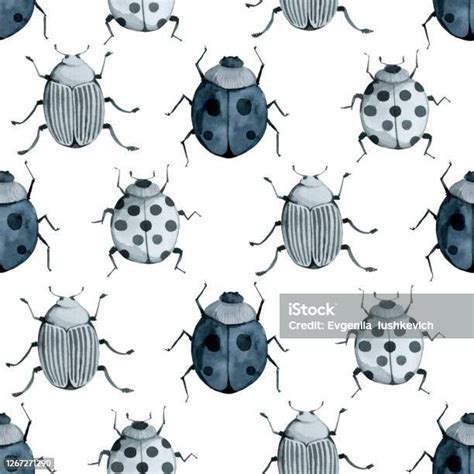 푸른 딱정벌레 야생 곤충 인디고 원활한 패턴 야생 곤충 수채화 빈티지 핸드 드로잉 곤충에 대한 스톡 벡터 아트 및 기타 이미지