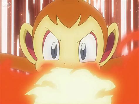 Poké Arquivo 390 Chimchar ↳ Animes