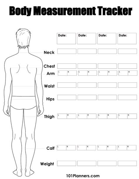 FREE Body Measurement Chart Printable Or Online
