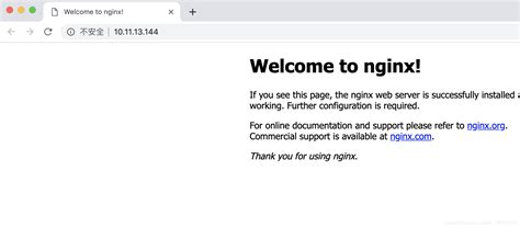 docker里安装nginx容器、同时配置多个nginx容器 liunx安装了docker nginx可以再安装一个nginx吗 csdn博客