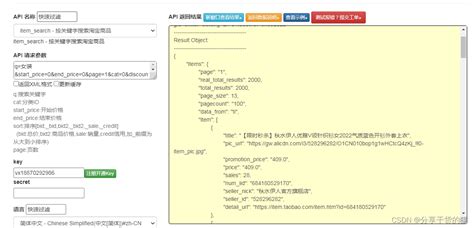 用大白话给你科普，到底什么是 Api（应用程序编程接口）？、导言欢迎你使用今日 编程接口 Csdn博客