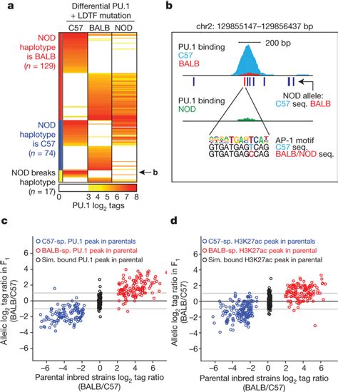 Validation Of Predicted Binding And Modification Patterns A PU 1 Download Scientific Diagram