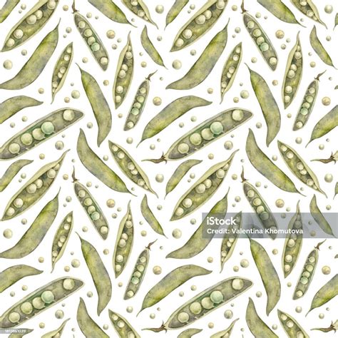 완두콩의 완벽 한 패턴 수채화로 그린 손입니다 직물 종이 배경 직물 포장에 인쇄하기위한 패션 인쇄 패턴 건강한 생활방식에 대한