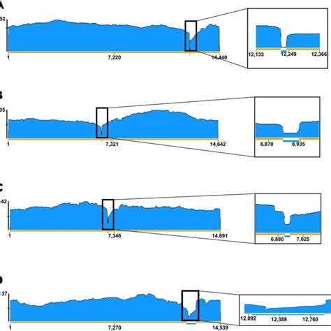 Sequence Coverage Analysis To Investigate If Read Coverage Was The Download Scientific Diagram