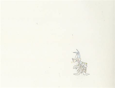 Tiny Toons Original Production Cel With Matching Drawing Etsy